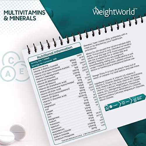 Multivitamins and Minerals for Adults - 365 Vegetarian Tablets (1 Year ...